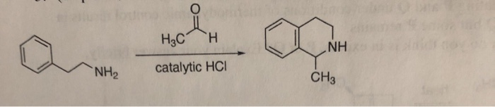 Solved 0 H2C H NH NH2 catalytic HCI CH3 | Chegg.com