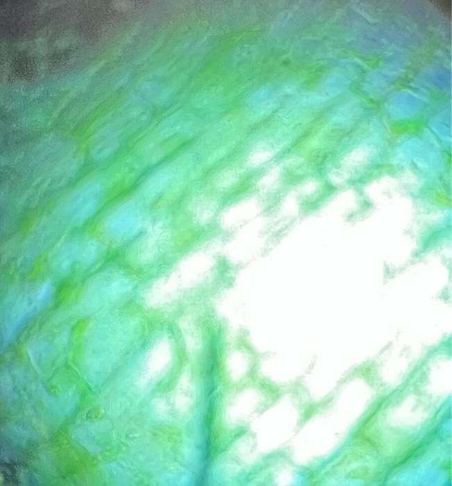 MICROSCOPE POST LAB ASSIGNMENT Fill in the tables, | Chegg.com