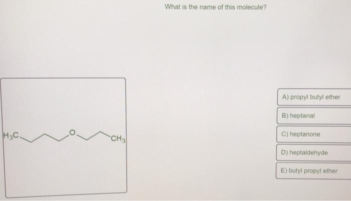 Solved What is the name of this molecule? A) propyl butyl | Chegg.com
