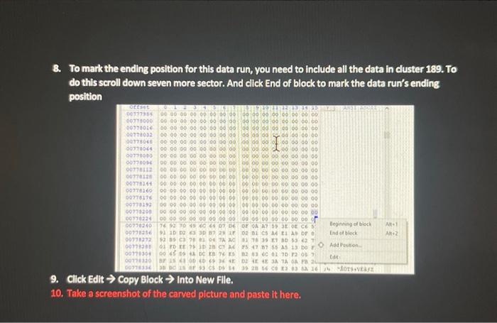 Solved Project 8-2 Carving Data Run Clusters Manually 1. We | Chegg.com