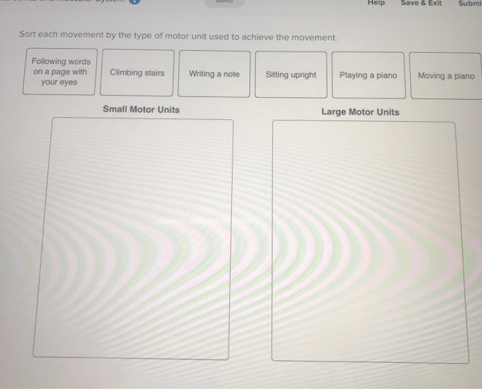Solved Help Save & Exit Suomi Sort each movement by the type | Chegg.com