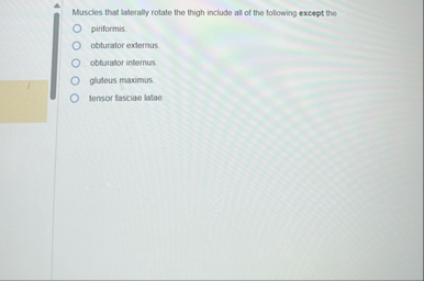 Solved Muscles that laterally rotate the thigh include all | Chegg.com