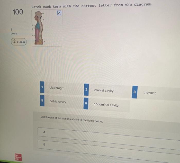 Solved Match each term with the correct letter from the | Chegg.com