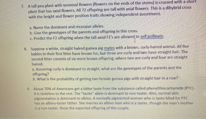 Solved 7. A tall pea plant with terminal flowers (flowers on | Chegg.com