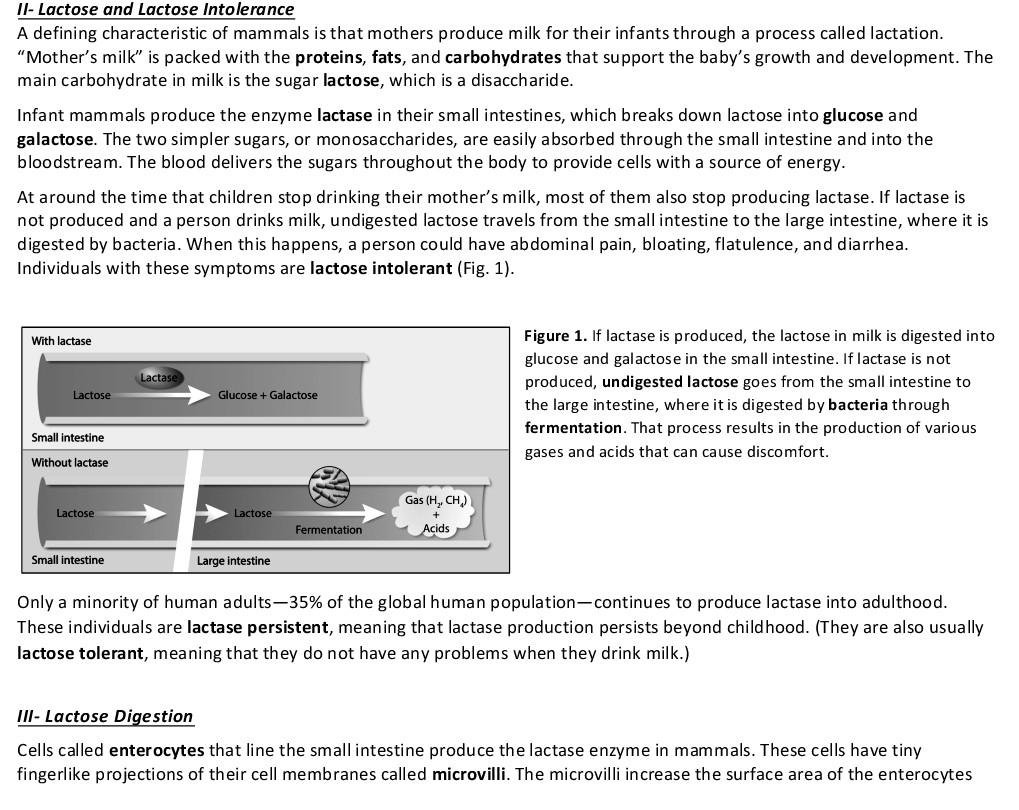 Solved II-Lactose and Lactose Intolerance A defining | Chegg.com