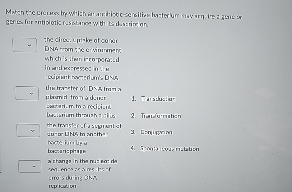 Solved Match the process by which an antibiotic-sensitive | Chegg.com