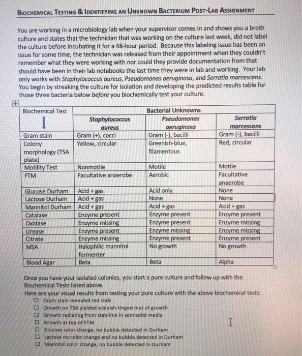 Solved BIOCHEMICAL TESTING & IDENTIFYING AN UNKNOWN | Chegg.com