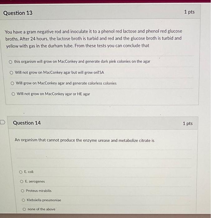 Solved 1 pts Question 13 You have a gram negative rod and | Chegg.com