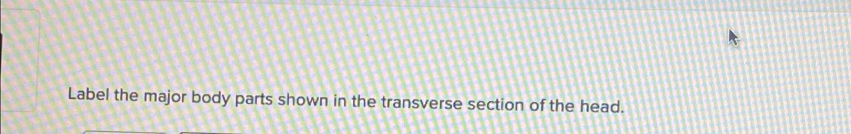Solved Label the major body parts shown in the transverse | Chegg.com