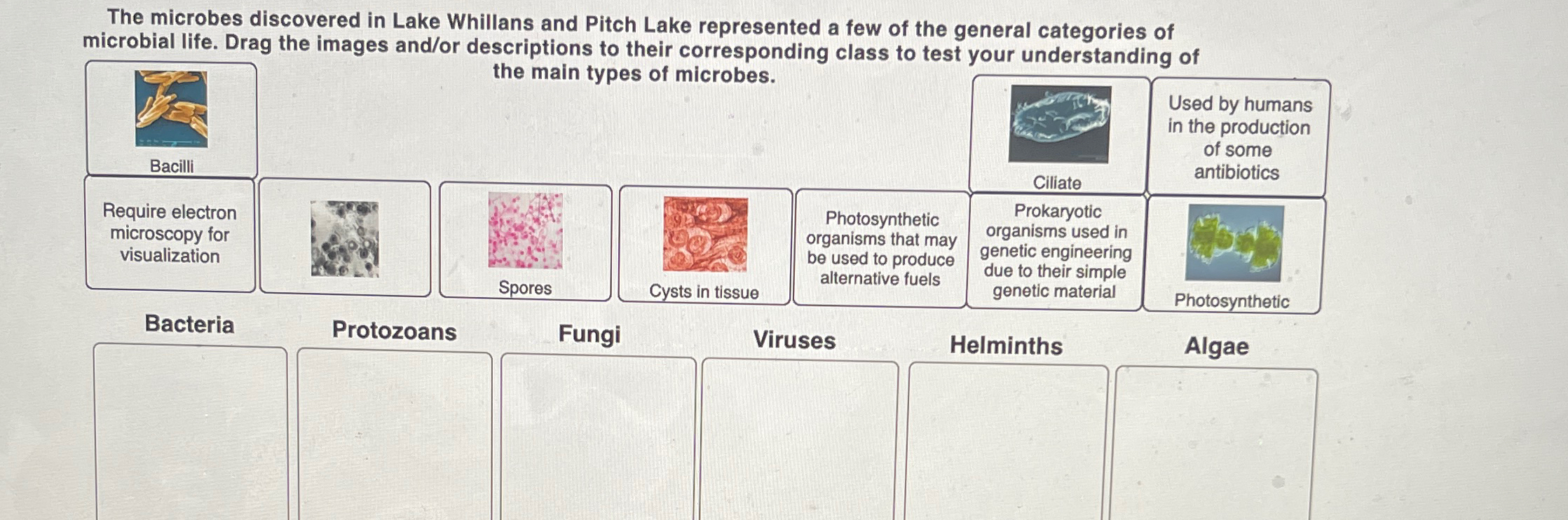 Solved The microbes discovered in Lake Whillans and Pitch | Chegg.com