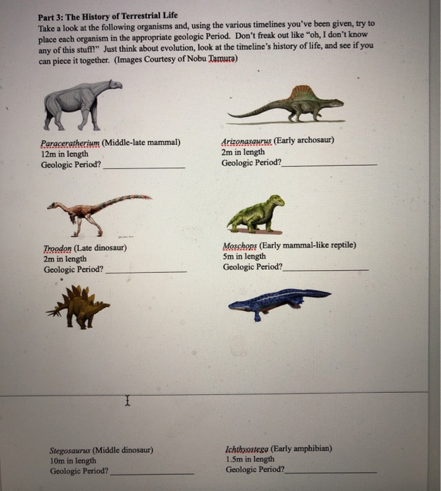 Solved Part 3: The History of Terrestrial Life Take a look | Chegg.com