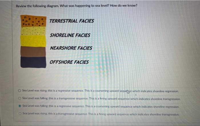 Solved Review the following diagram. What was happening to | Chegg.com