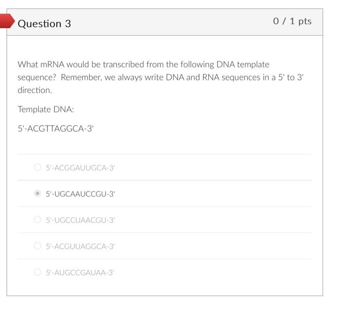 Solved What mRNA would be transcribed from the following DNA | Chegg.com