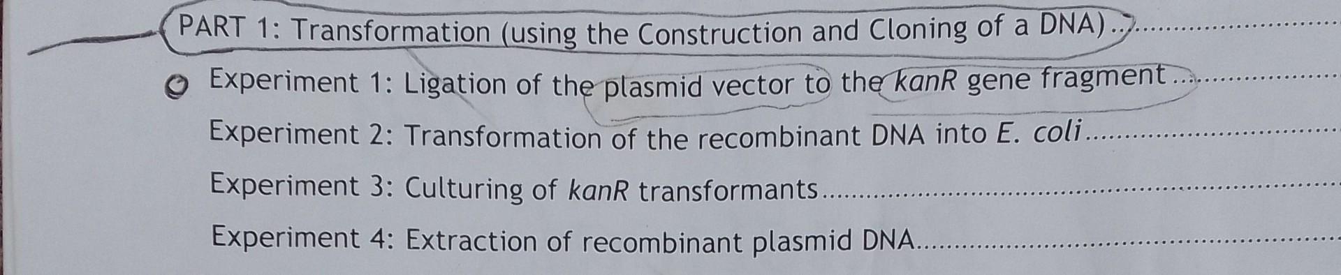 Solved Experiment 1: Ligation of the plasmid vector to the | Chegg.com
