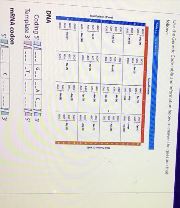 Solved Use the Genetic Code table and information below to | Chegg.com