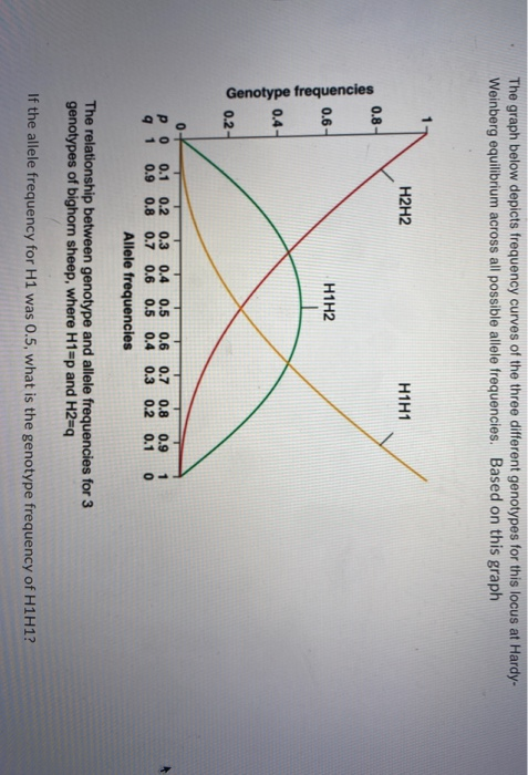 Genetic Equilibrium Graph