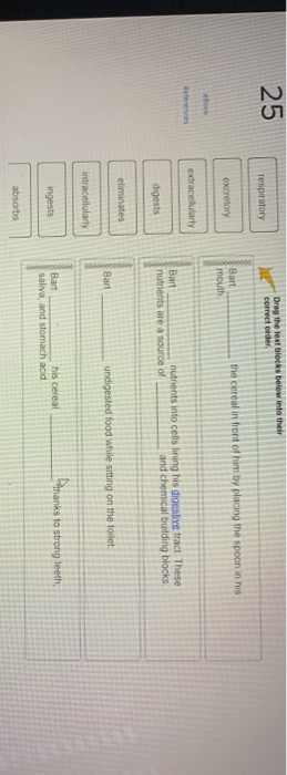 Solved Complete the following statements. Then, arrange the | Chegg.com