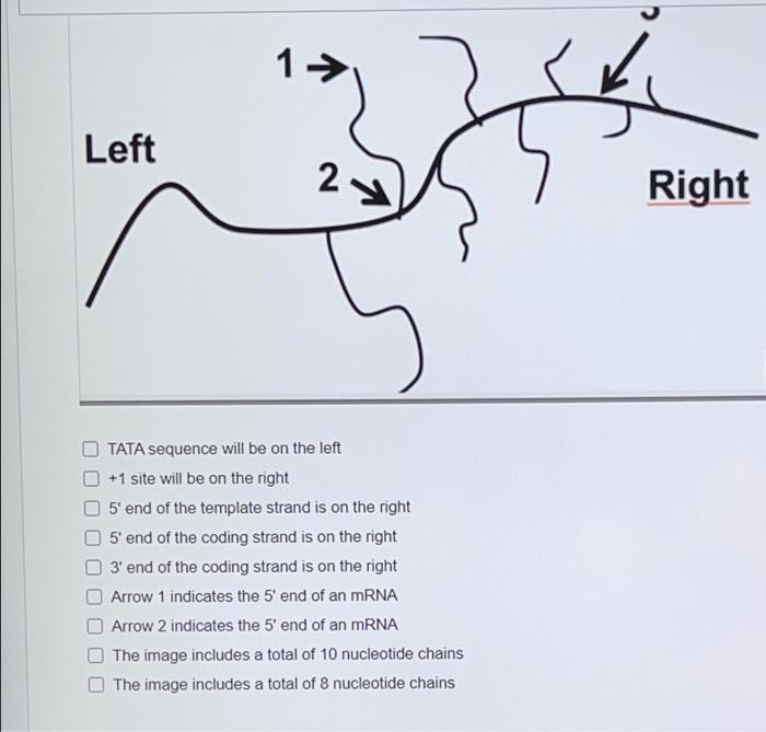 Solved The diagram below represents the Christmas-tree-like | Chegg.com