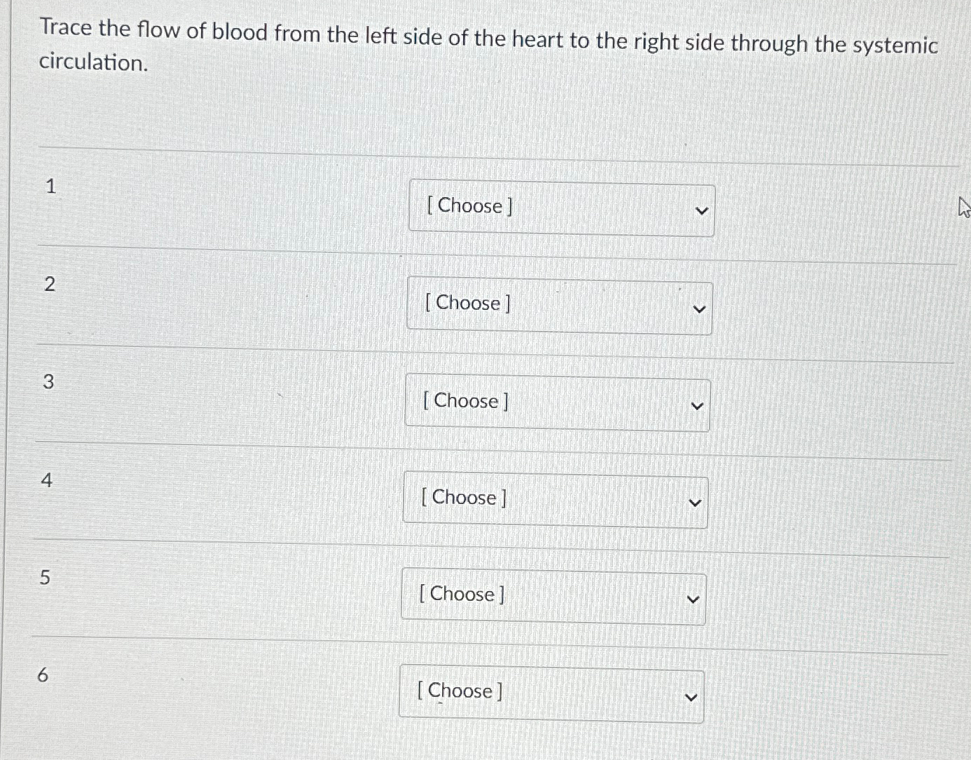 Solved Trace the flow of blood from the left side of the | Chegg.com