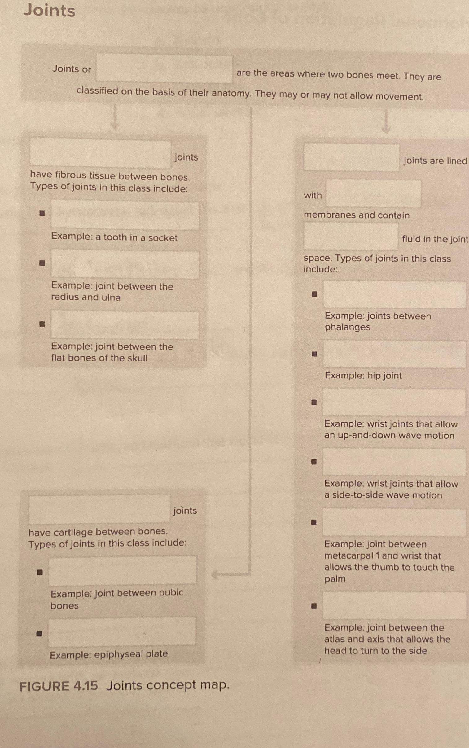 Solved JointsJoints or _____ ﻿are the areas where two bones | Chegg.com