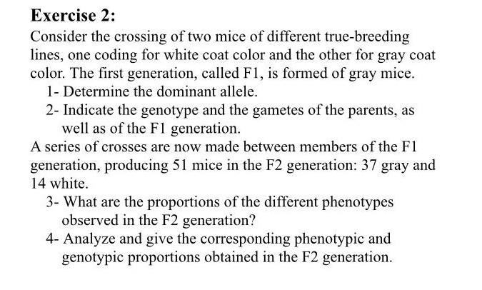 Solved Exercise 2: Consider the crossing of two mice of | Chegg.com