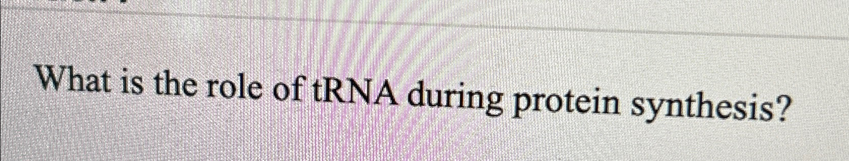 Solved What is the role of tRNA during protein synthesis? | Chegg.com