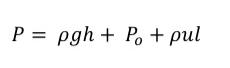 Solved P=ρgh+Po+ρu ﻿ Is it homogenous? | Chegg.com