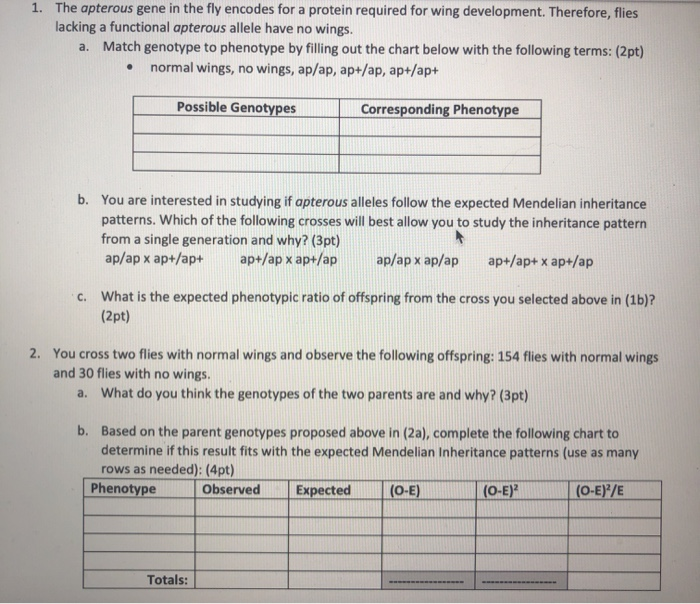 Solved 1. The apterous gene in the fly encodes for a protein | Chegg.com