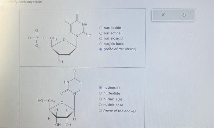 Solved Cussify each molecule: nucleoside nucleotide nucleic | Chegg.com