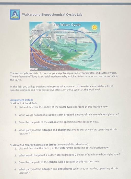 Solved Walkaround Biogeochemical Cycles Lab The water cycle | Chegg.com