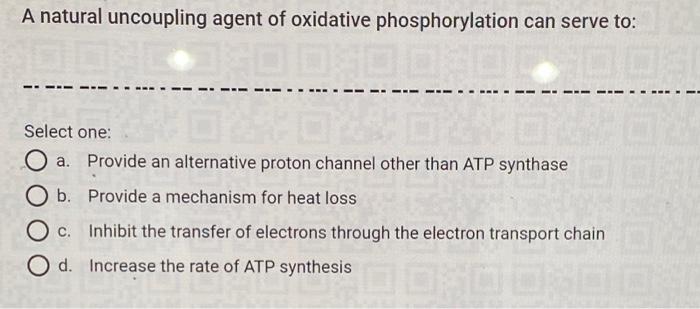Solved A natural uncoupling agent of oxidative | Chegg.com
