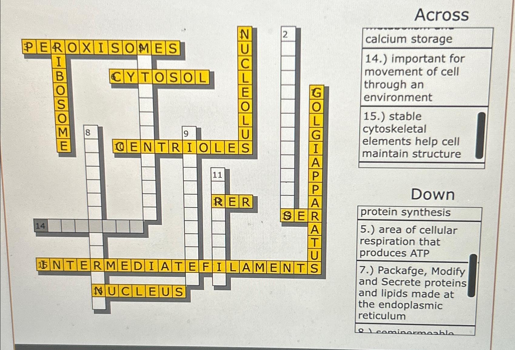Solved Acrosscalcium storage14.) ﻿important for movement of | Chegg.com