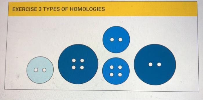 Solved EXERCISE 3 TYPES OF HOMOLOGIES Work in a small group | Chegg.com