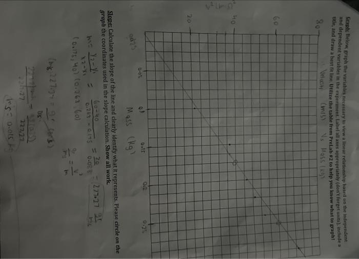 Raw Data Table \begin{tabular}{|c|c|c|c|c|c|c|c|c|} | Chegg.com