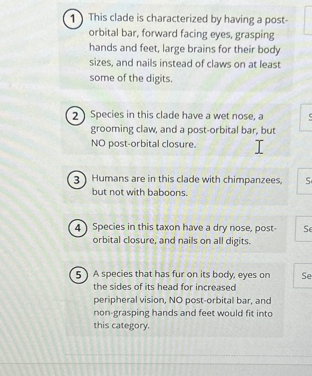 Solved This clade is characterized by having a postorbital | Chegg.com