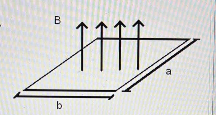 Solved (14\%) Problem 2: A wire, bent into a rectangle with | Chegg.com