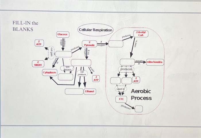 Solved FILL-IN the BLANKS | Chegg.com