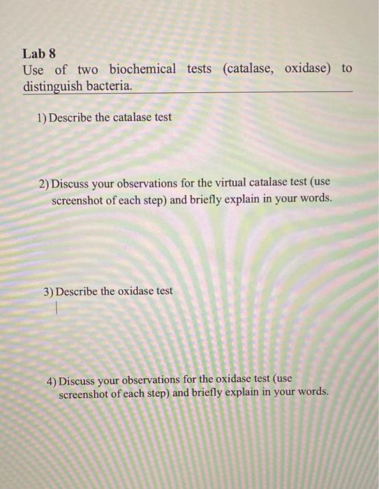 Solved Lab 8 Use of two biochemical tests (catalase, | Chegg.com