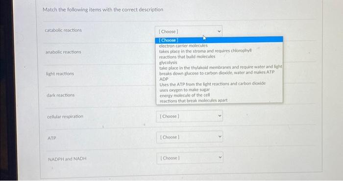 Solved Match the following items with the correct | Chegg.com