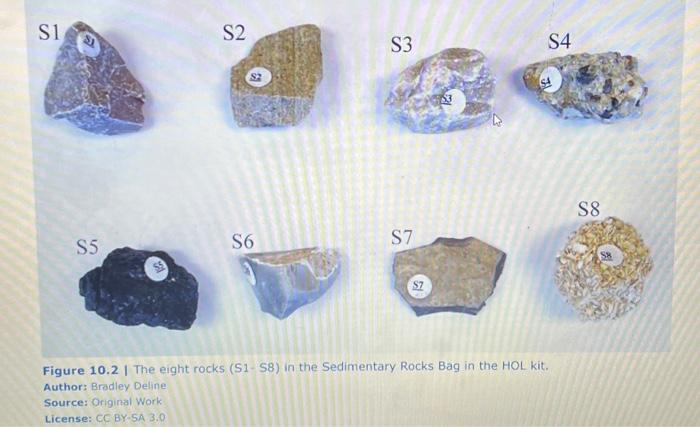 Solved Figure 10.21 The eight rocks (S1-S8) in the | Chegg.com