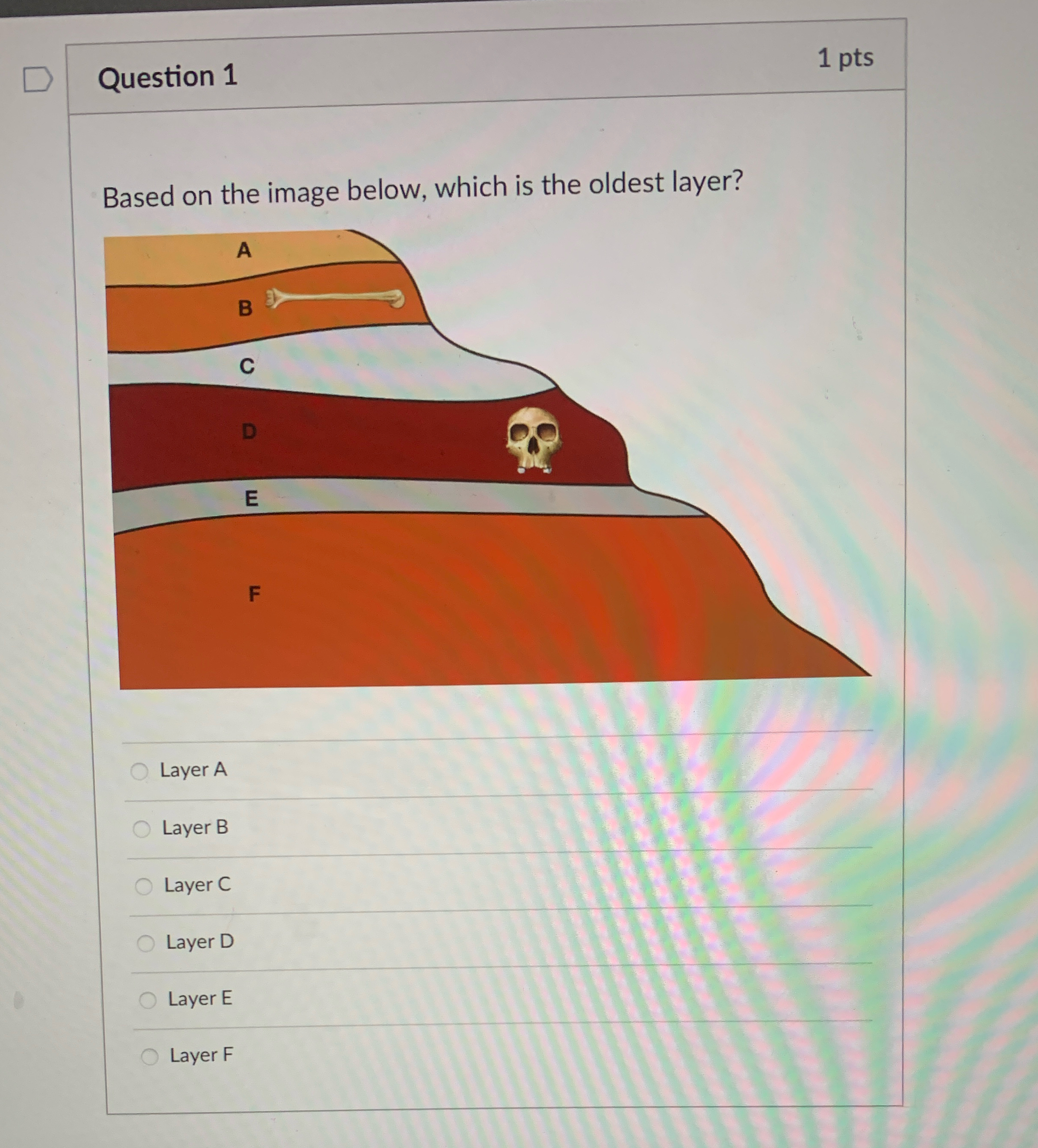 Solved Question 11ptsBased on the image below, which is the | Chegg.com