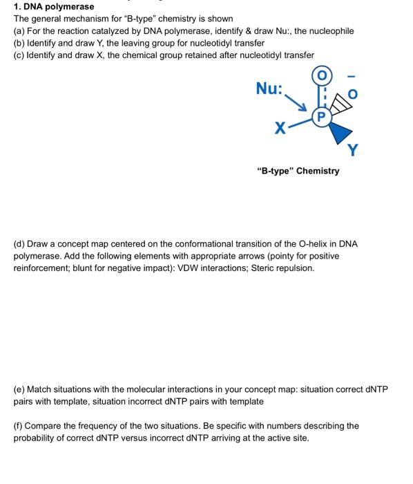 Solved 1. DNA polymerase The general mechanism for "B-type" | Chegg.com