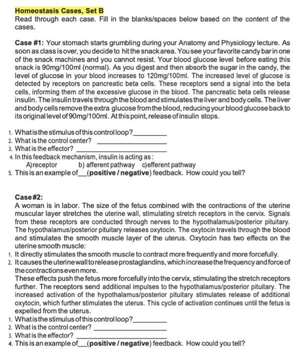 Solved Application of Homeostasis Feedback Mechanism Terms | Chegg.com