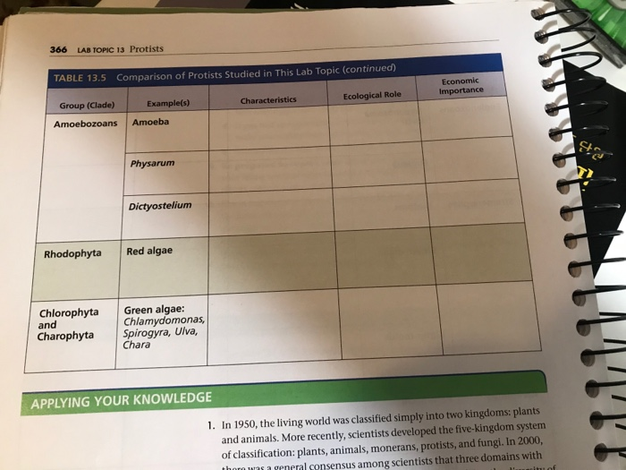Solved 366 LAB TOPIC 13 Protists TABLE 13.5 Comparison of | Chegg.com