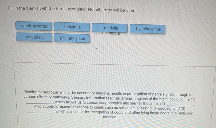 Solved Fill in the blanks with the terms provided. Not all | Chegg.com