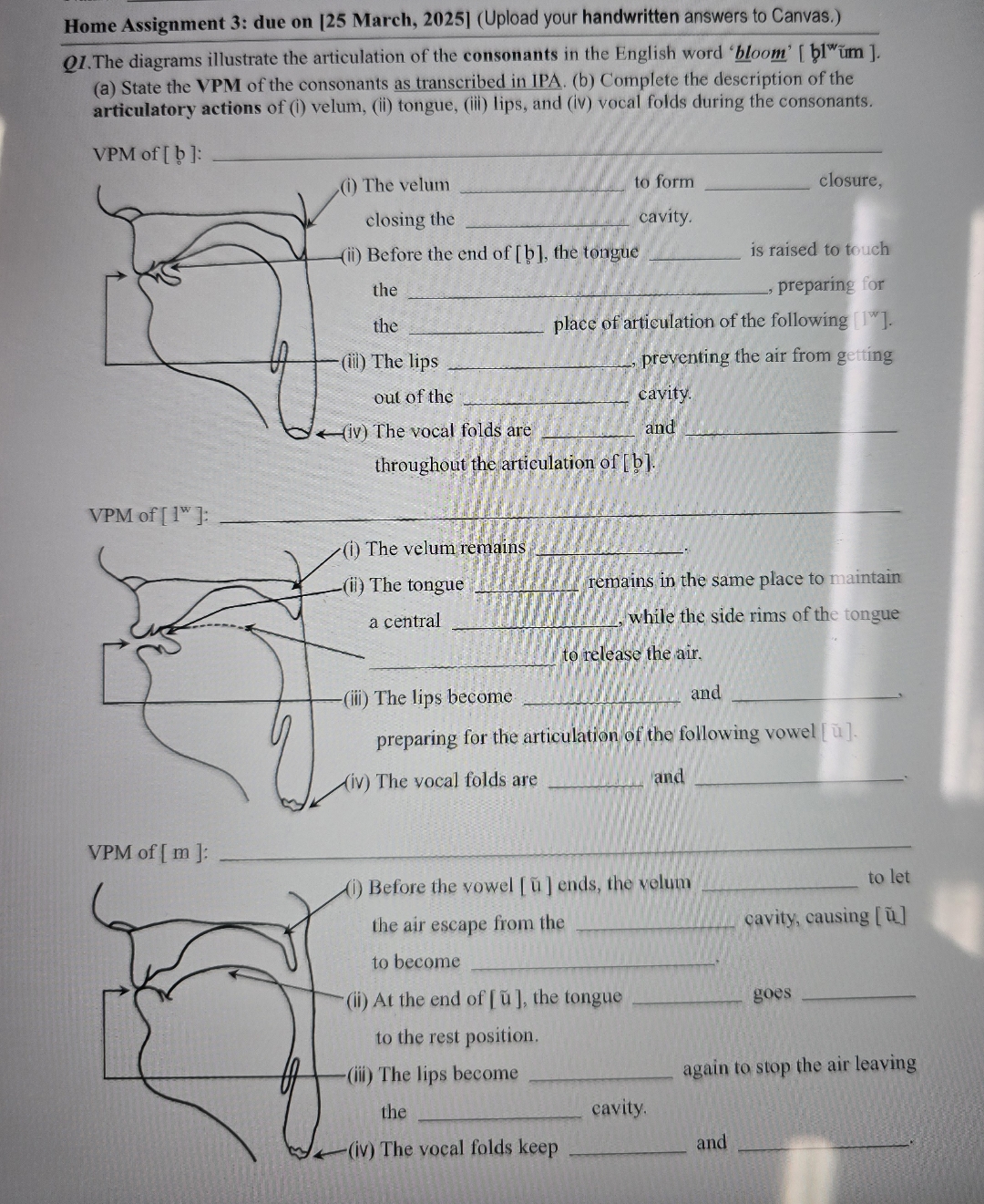 Solved Home Assignment 3: due on [25 ﻿March, 2025] (Upload | Chegg.com