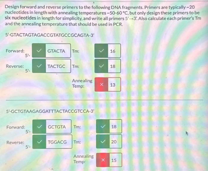 Solved Design forward and reverse primers to the following | Chegg.com