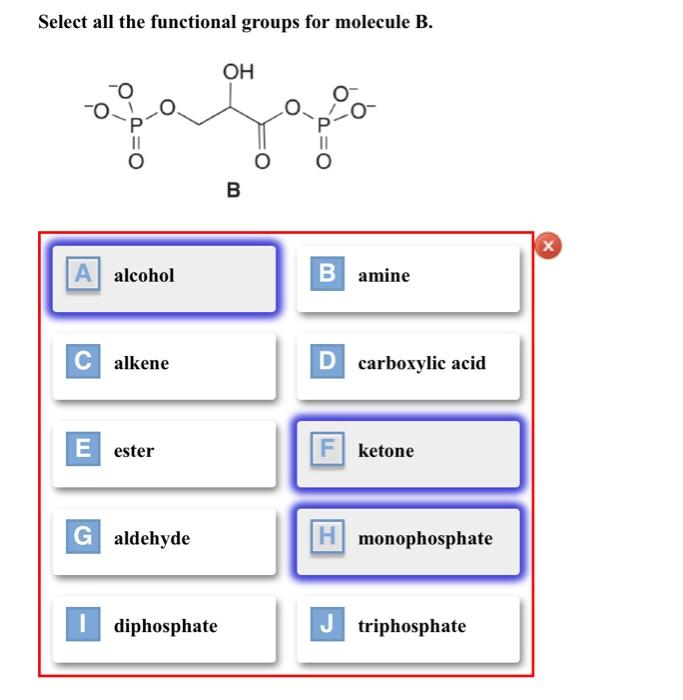 Solved Select all the functional groups for molecule B. | Chegg.com