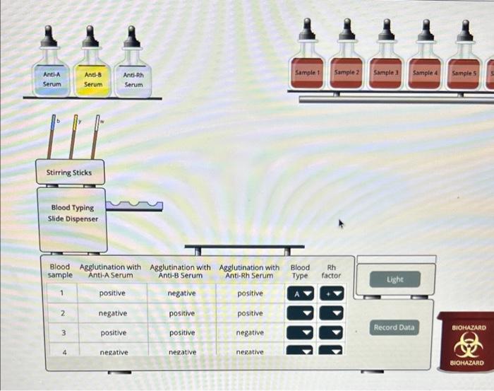 Solved Anti-A Serum Stirring Sticks Blood Typing Slide | Chegg.com