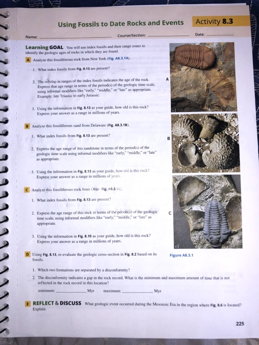 Using Fossils to Date Rocks and Events Activity 8.3 | Chegg.com